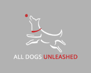 Daily Pet Transportation And Pet Taxi Services | Cats And Dogs | Leash