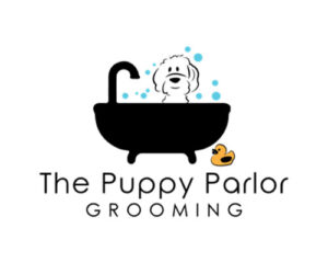 Daily Pet Transportation And Pet Taxi Services | Cats And Dogs | Leash